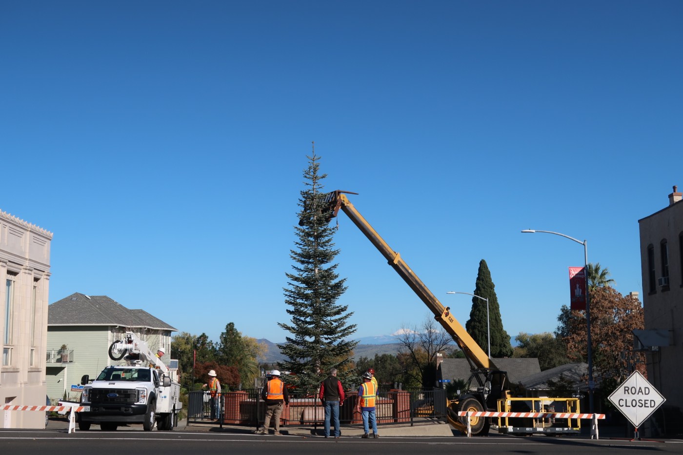 Red Bluff Christmas tree installed on Main Street