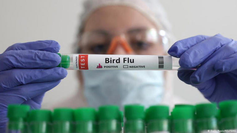 Washington state resident dies after after H5N5 infection