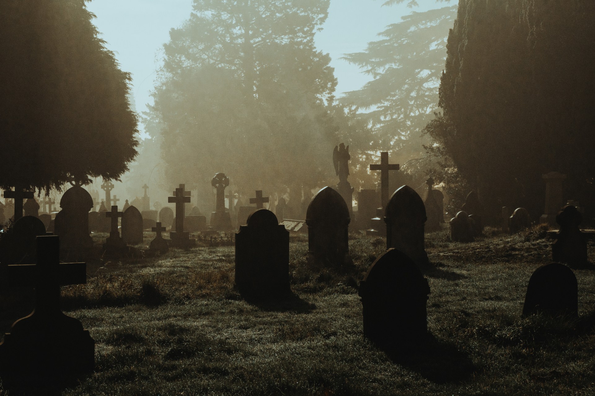 I thought he was perfect - until our graveyard date