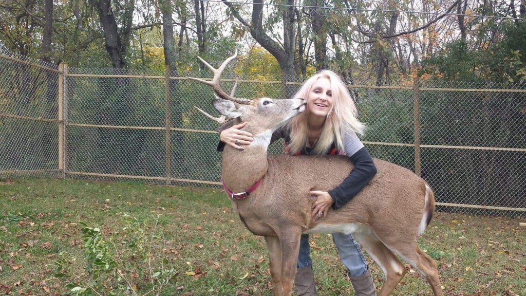 Grandma mauled to death by deer she rescued — raging controversy explodes after cops kill deer