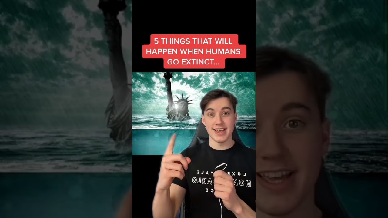 5 things that could happen if humanity were to go extinct