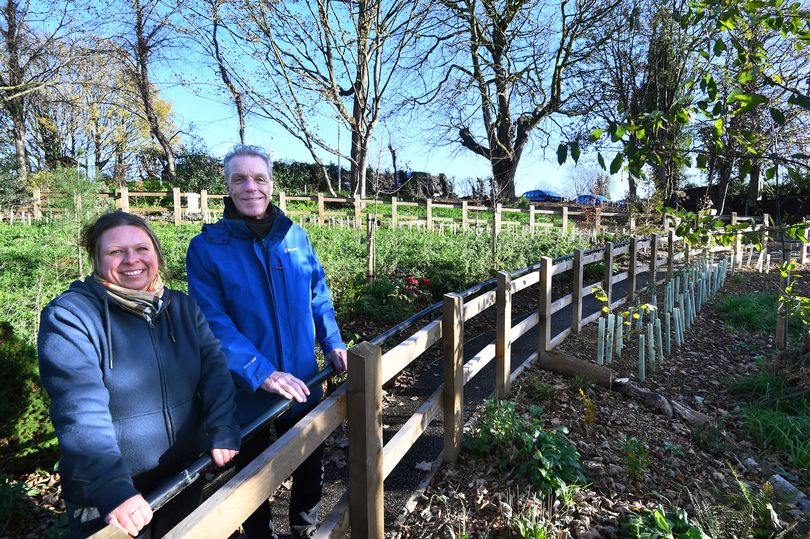 Turning rubbish dump into 'hidden gem' was like a Peter Kay comedy