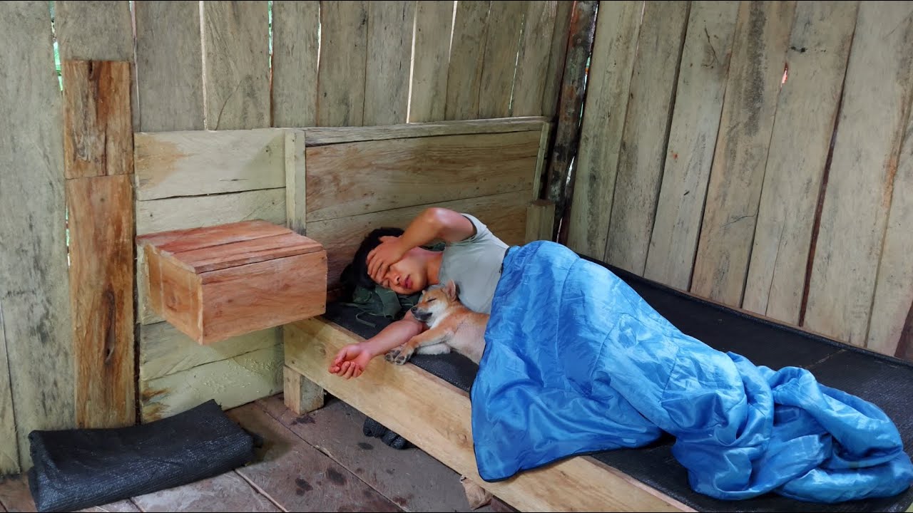 Treating illness & building a chick house | 1 year off the grid