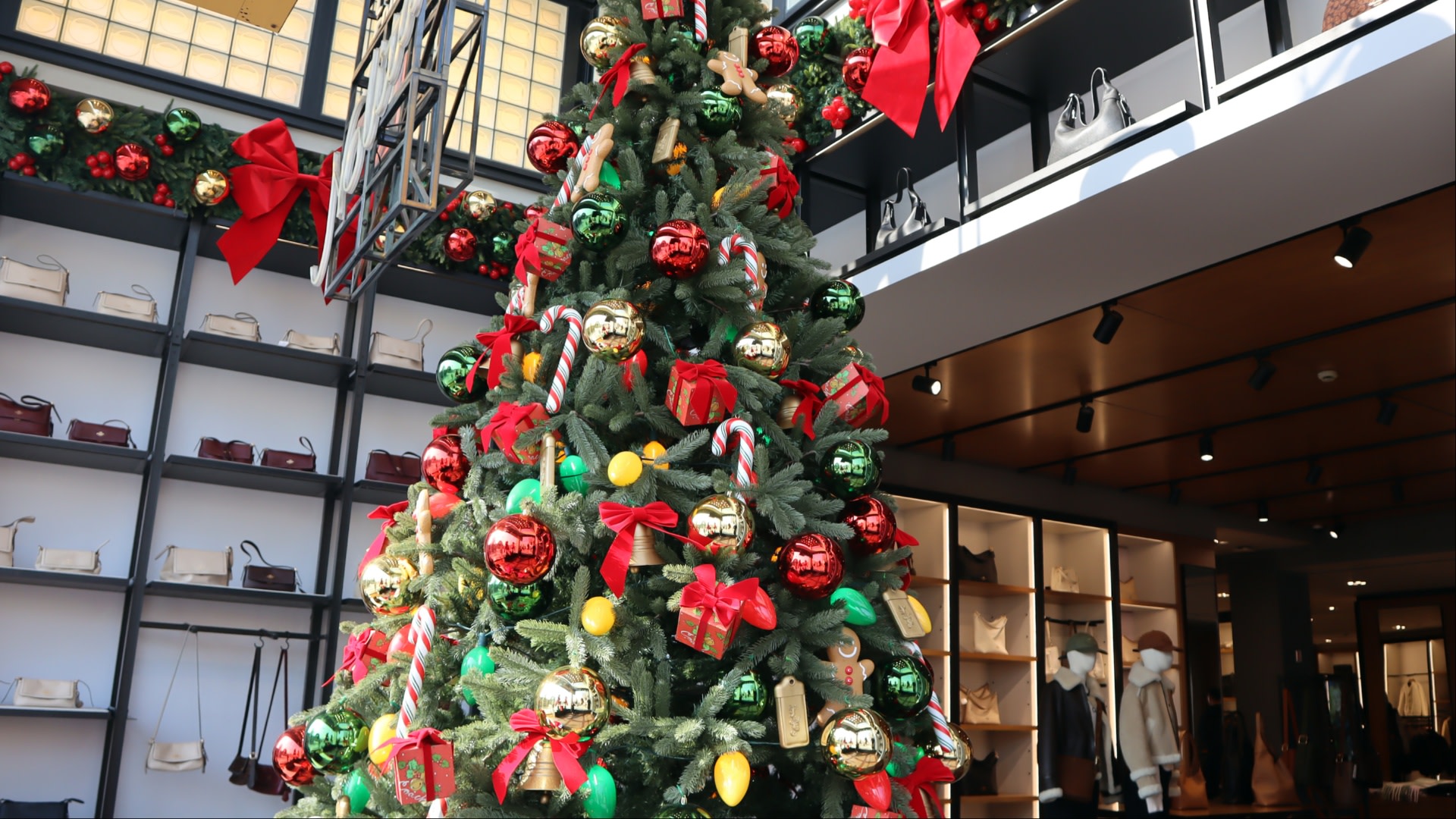 Nasir Ahma Bostic Is Suspect Accused in Concord Christmas Tree Lighting ...