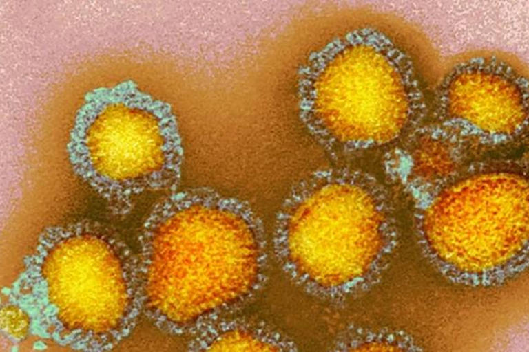 Shocking numbers reveal full extent of flu wave spreading across UK