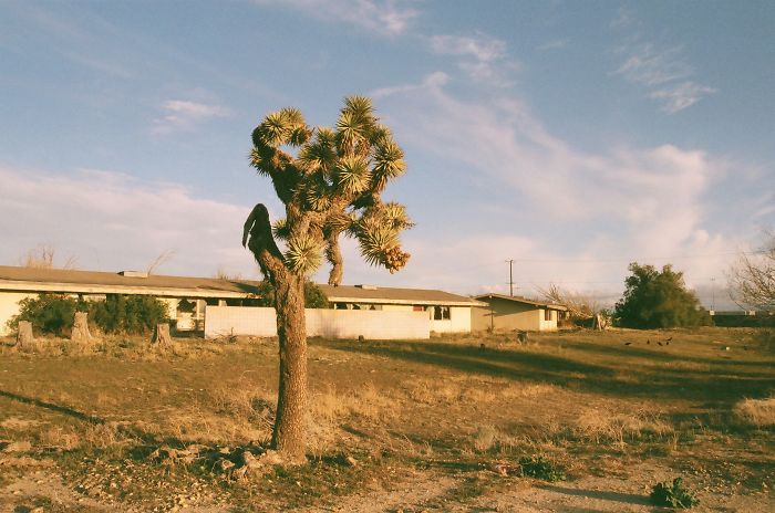 I’d Been Wanting To Photograph This Abandoned Air Force Base For A Long ...