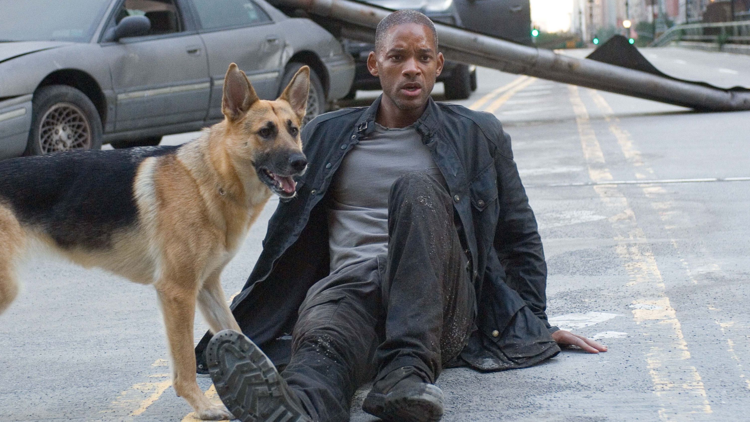 I Am Legend 2 hires new director for long-awaited Will Smith sequel