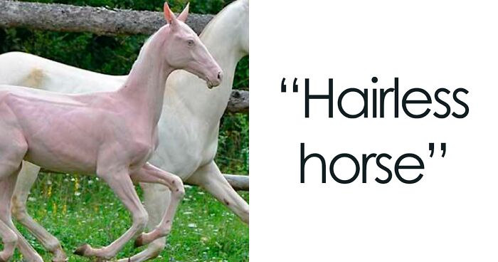 33 Pics That Might Make You Say “Awww” Before You Realize How ...