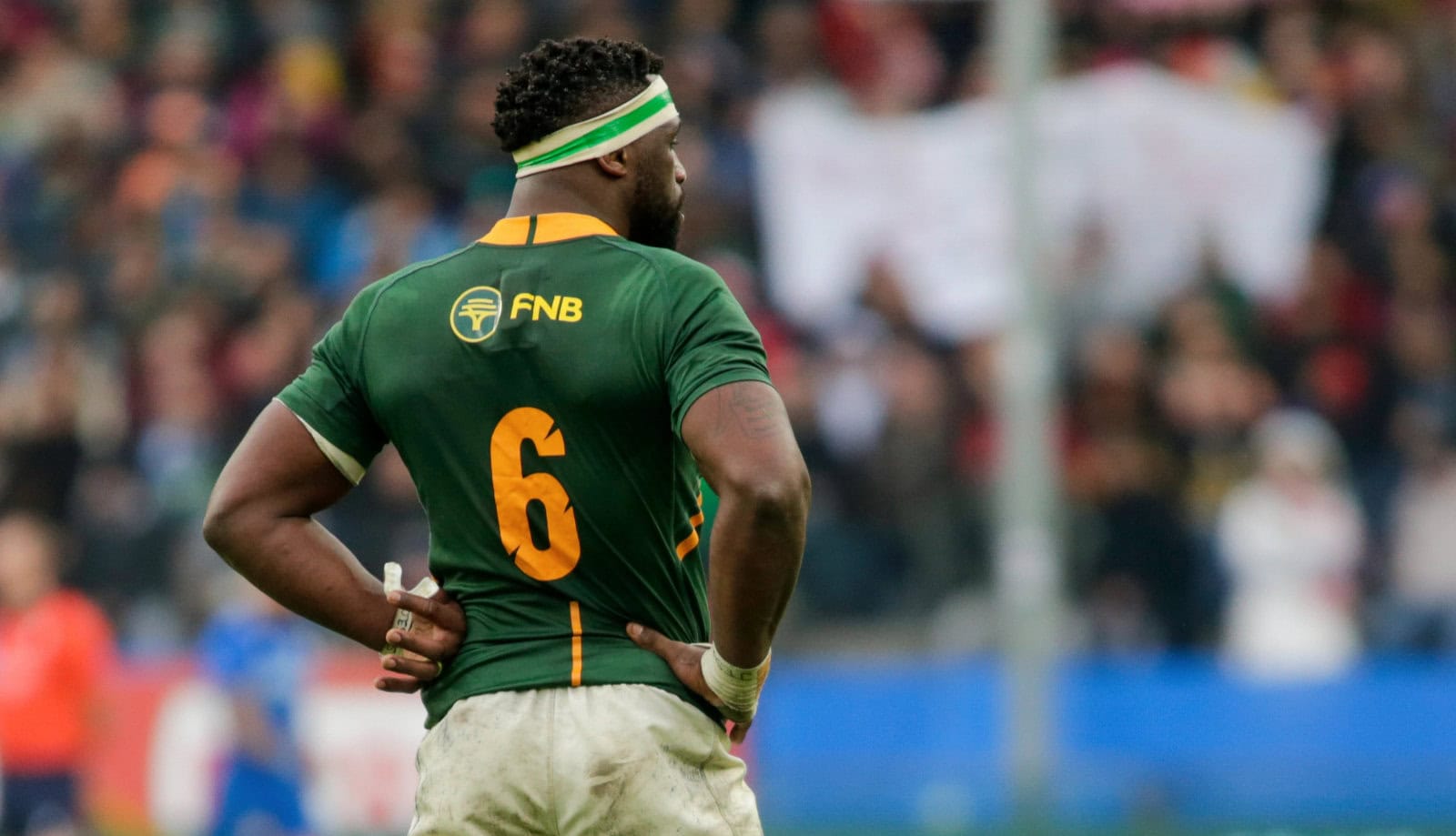 Ireland vs Springboks: Prediction, head-to-head, kick off time and ...