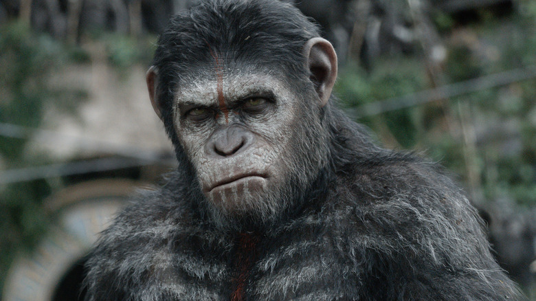 Every Kind Of Sequel Explained