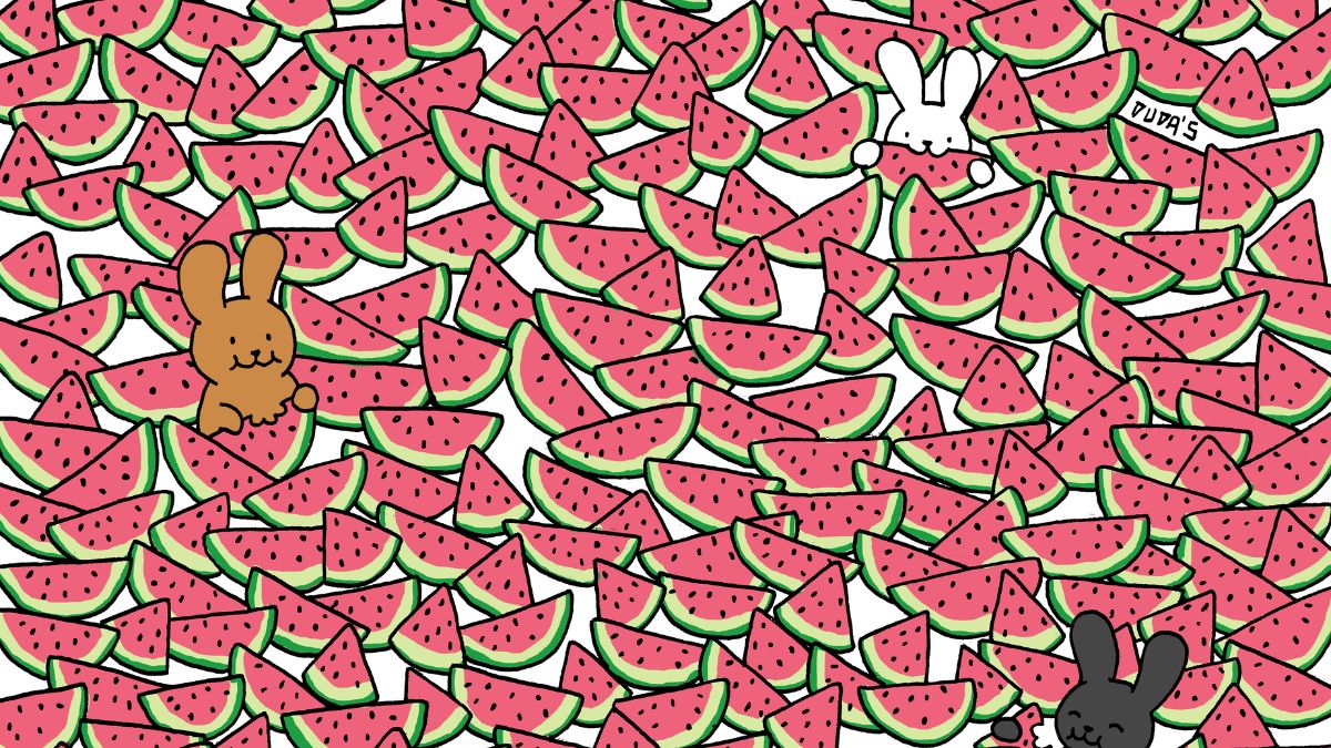 This Picture Puzzle IQ Test Is Challenging You To Spot 5 Seedless ...