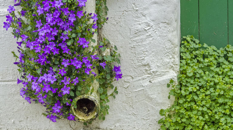 7 Genius DIY Solutions To Finally Say Goodbye To Ugly Downspout Eyesores