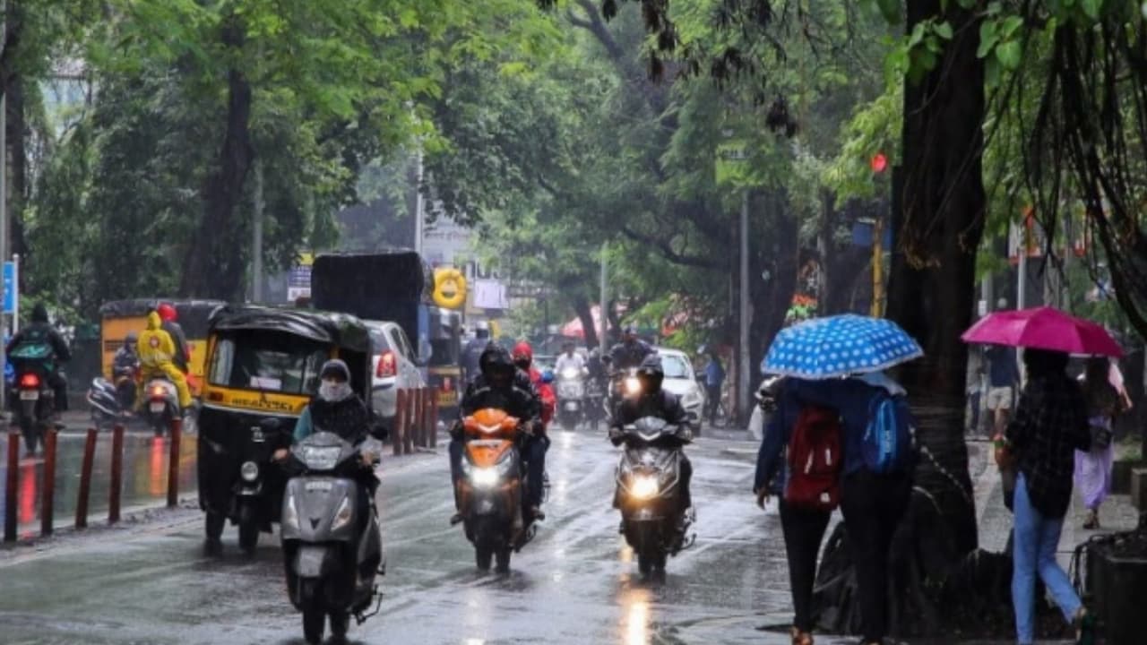 Bengaluru rain forecast: IMD predicts four days of showers, yellow ...