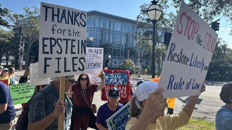 Activists rally in downtown Charleston for 'Remove the Regime' day amid ...