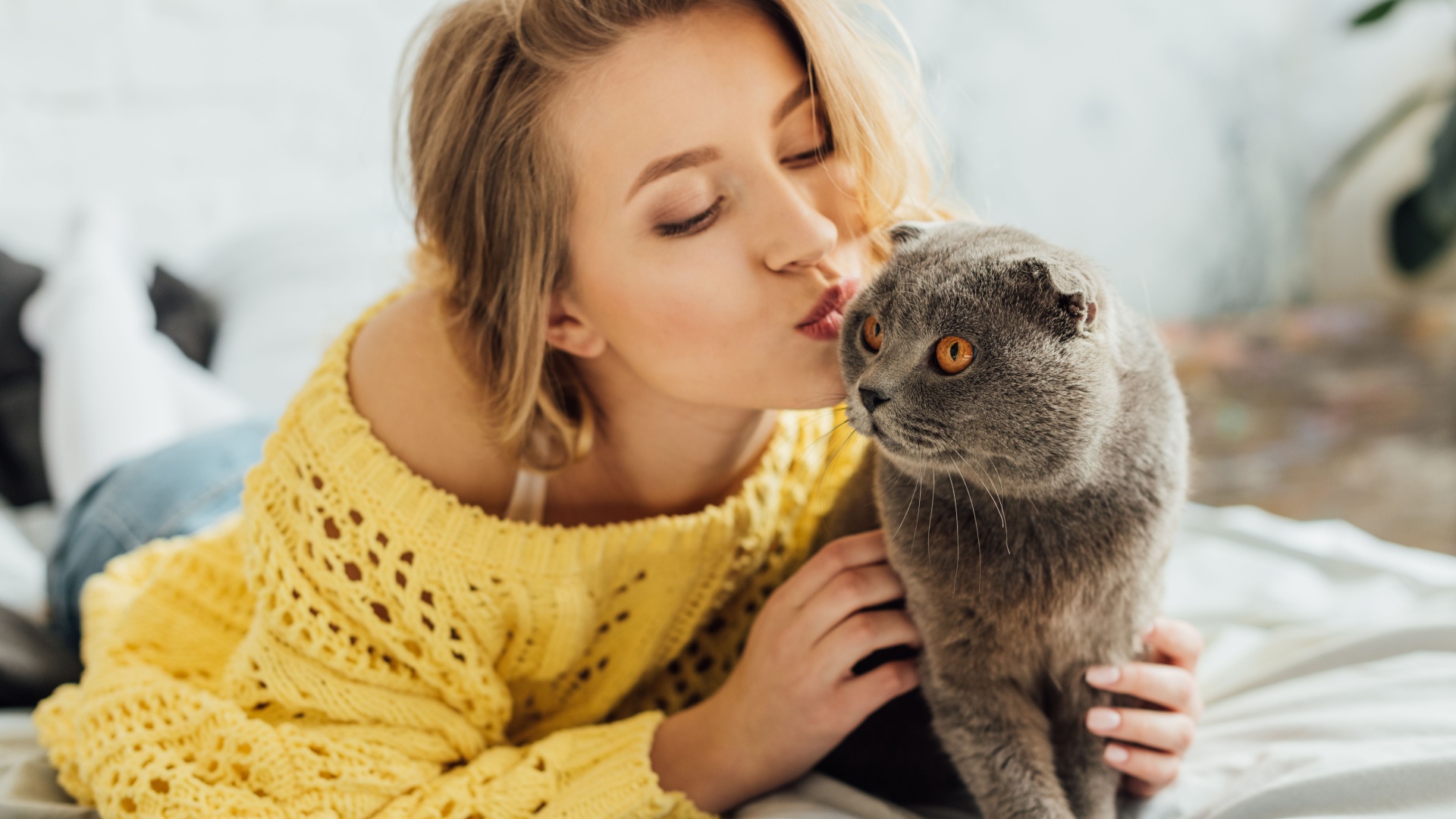 7 Cat Breeds For Teens Looking For An Affectionate Companion