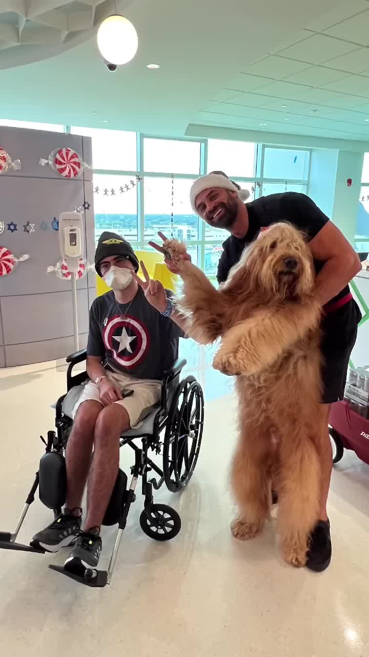 Real life teddy bear visits children’s hospital! #goldendoodle # ...