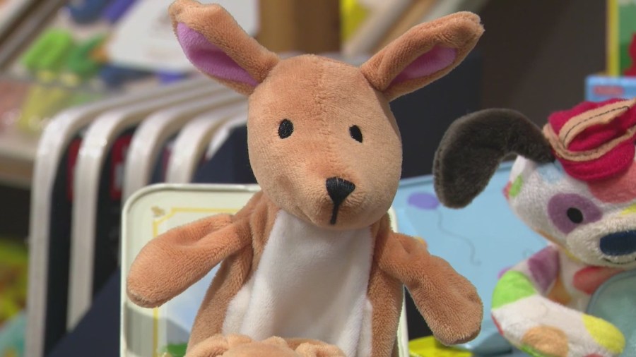 Money Expert Andrea Woroch shares tips on how to get the best Black ...