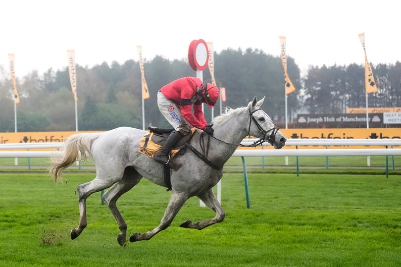Horse power: Grey Dawning to win the Cotswold Chase at Cheltenham