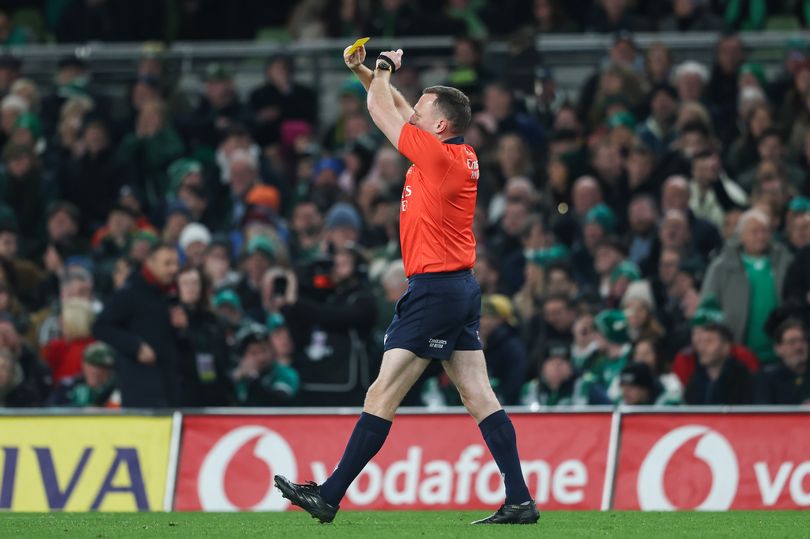 Ireland fans fume at referee for first-half performance in South Africa ...