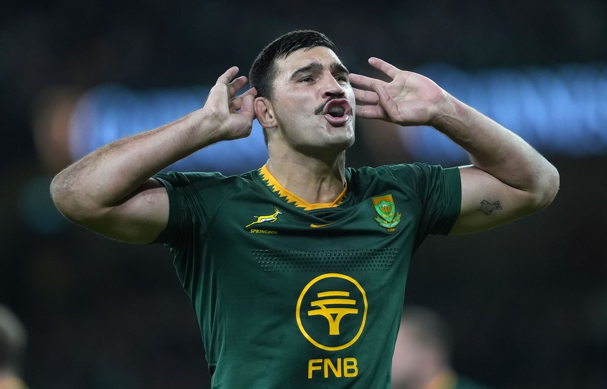 Springboks survive madcap clash as brave Ireland fall short