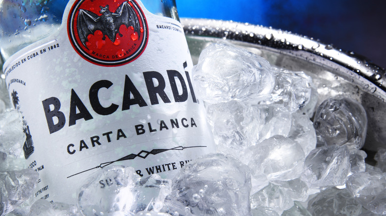 10 Best Rums For A Coquito