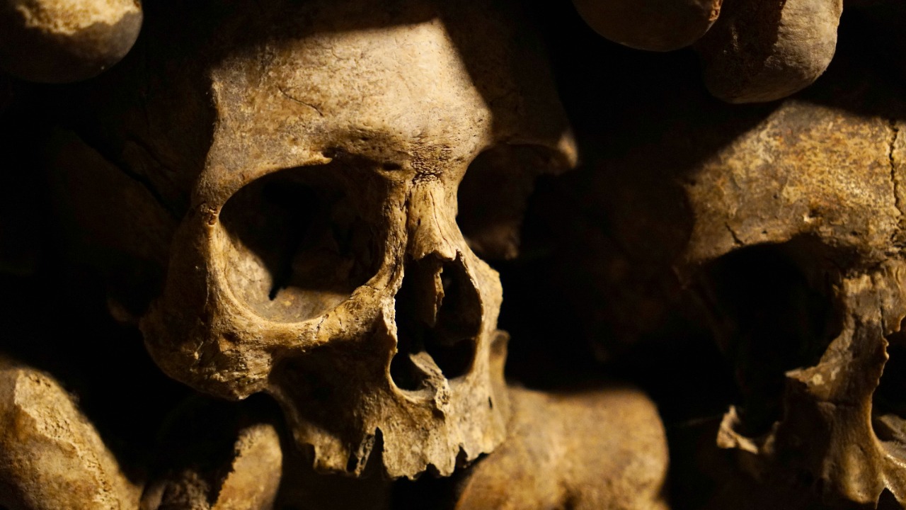 Rare 1,400-year-old cube-shaped skull found in Mexico