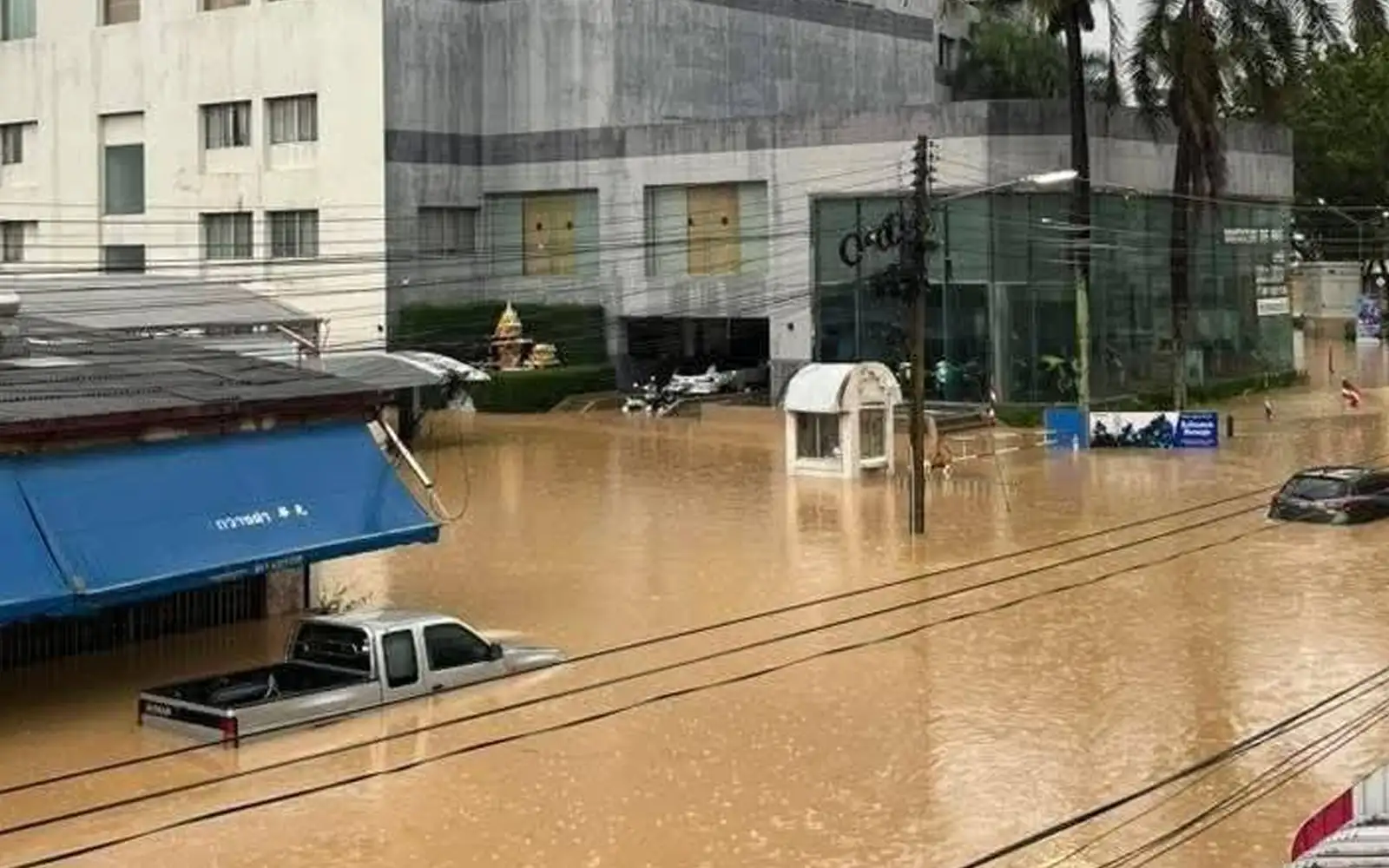 Heavy rain expected to continue in flood-hit Hatyai