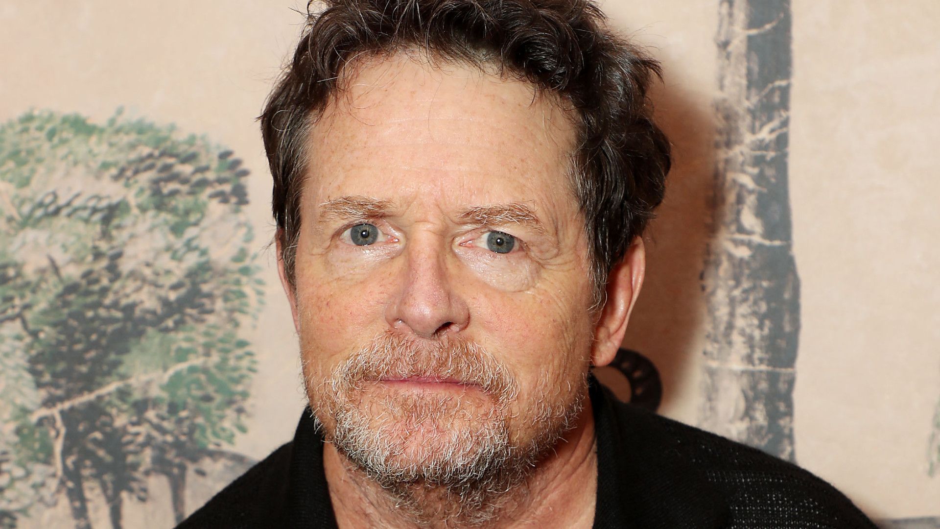 Shrinking Star Harrison Ford Was "Protective" Of Michael J. Fox While ...