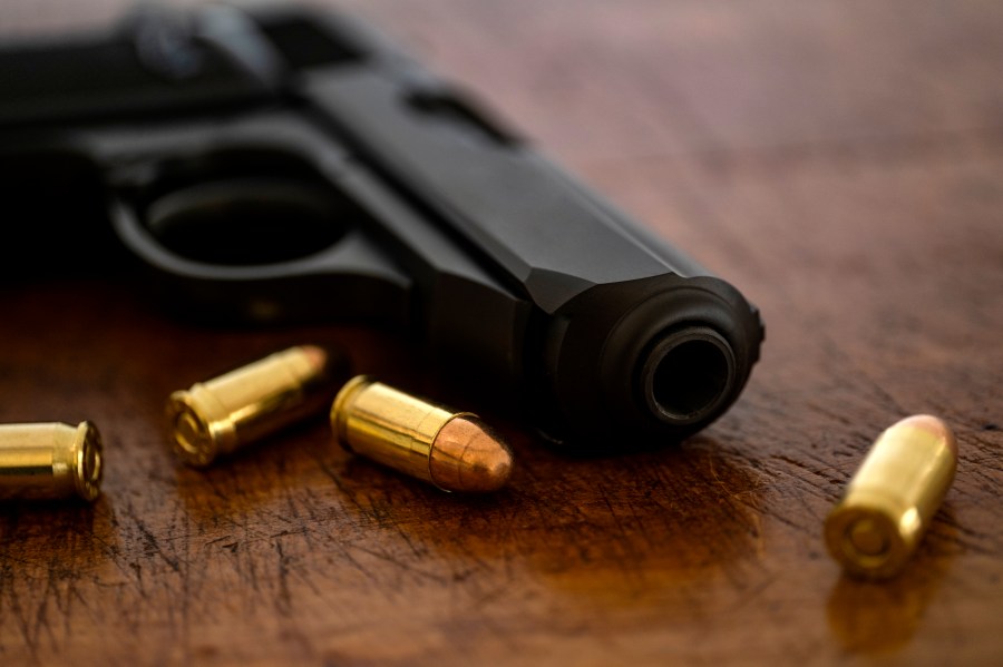 125 firearms recovered from Simi Valley residence, man faces multiple ...