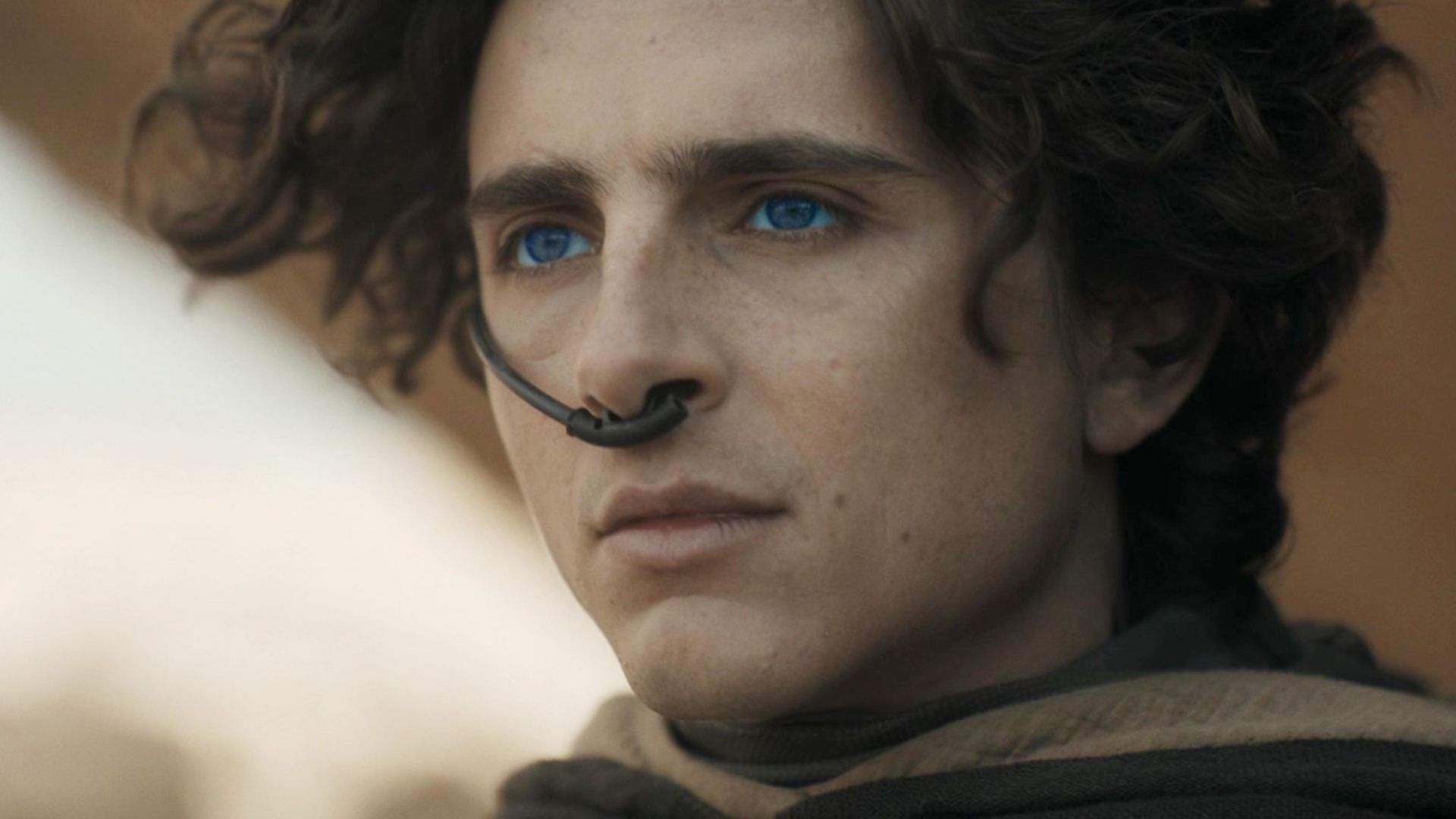 Timothée Chalamet confirms Dune 3's major time jump