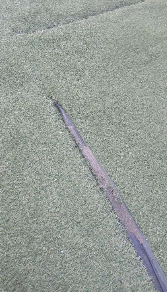 Homeowner sparks backlash with photo of serious landscaping mistake: 'What the hell am I even ...