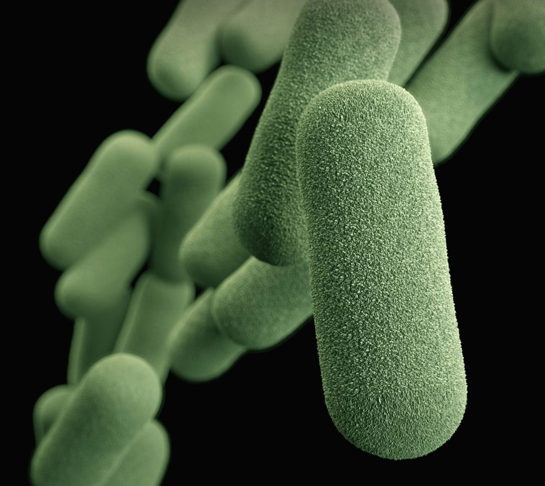 How Earth's First Oxygen Nearly Wiped Out All Life