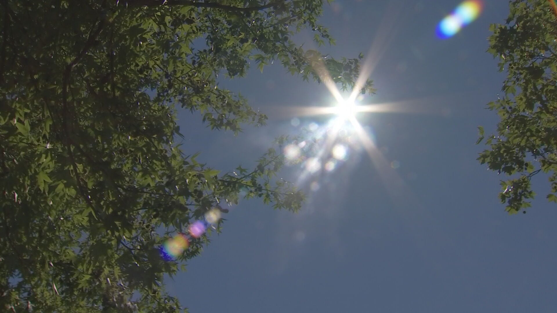 Disaster relief offered to Western Pennsylvania small businesses ...