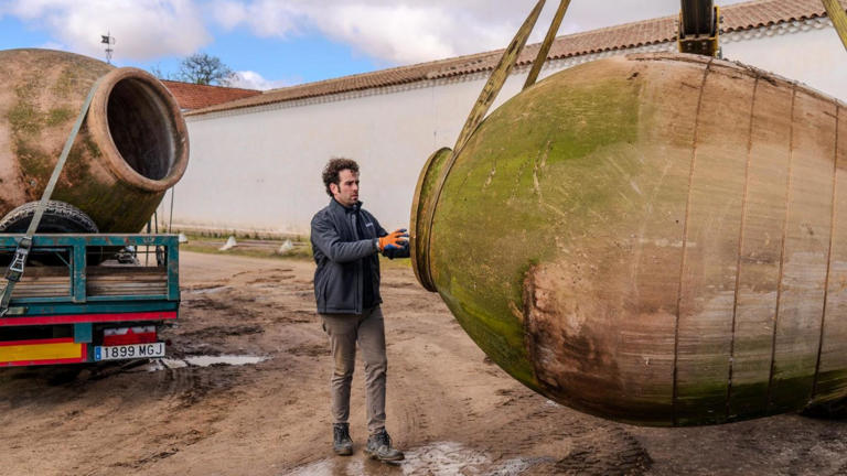 Antonio, el joven que elabora el mejor vino tinto de Castilla-La Mancha ...