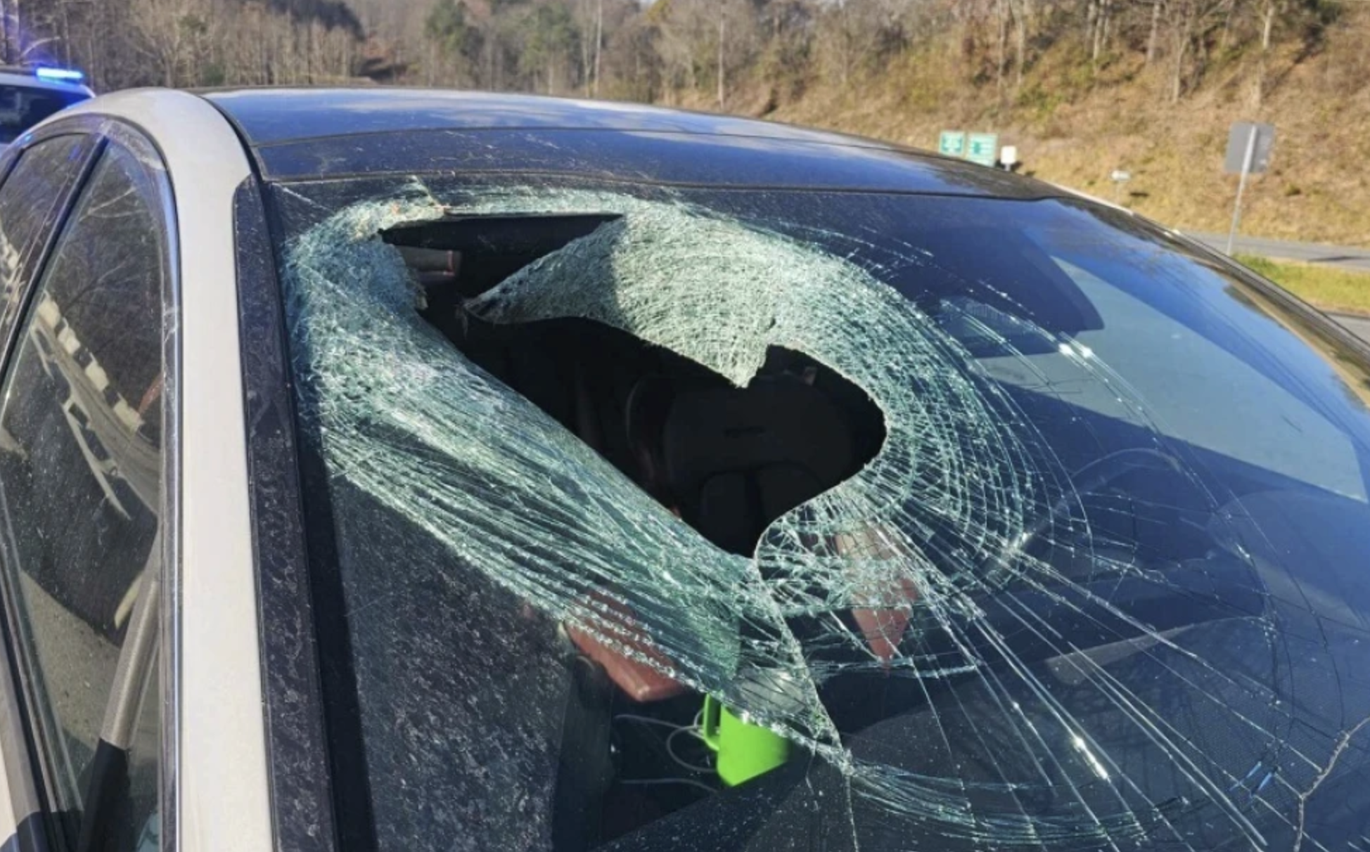 Kat valt uit de lucht, dwars door voorruit auto heen op Amerikaanse snelweg