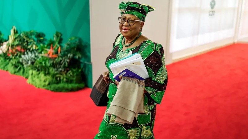 G20 Summit in South Africa: Focus on critical minerals, debt relief ...