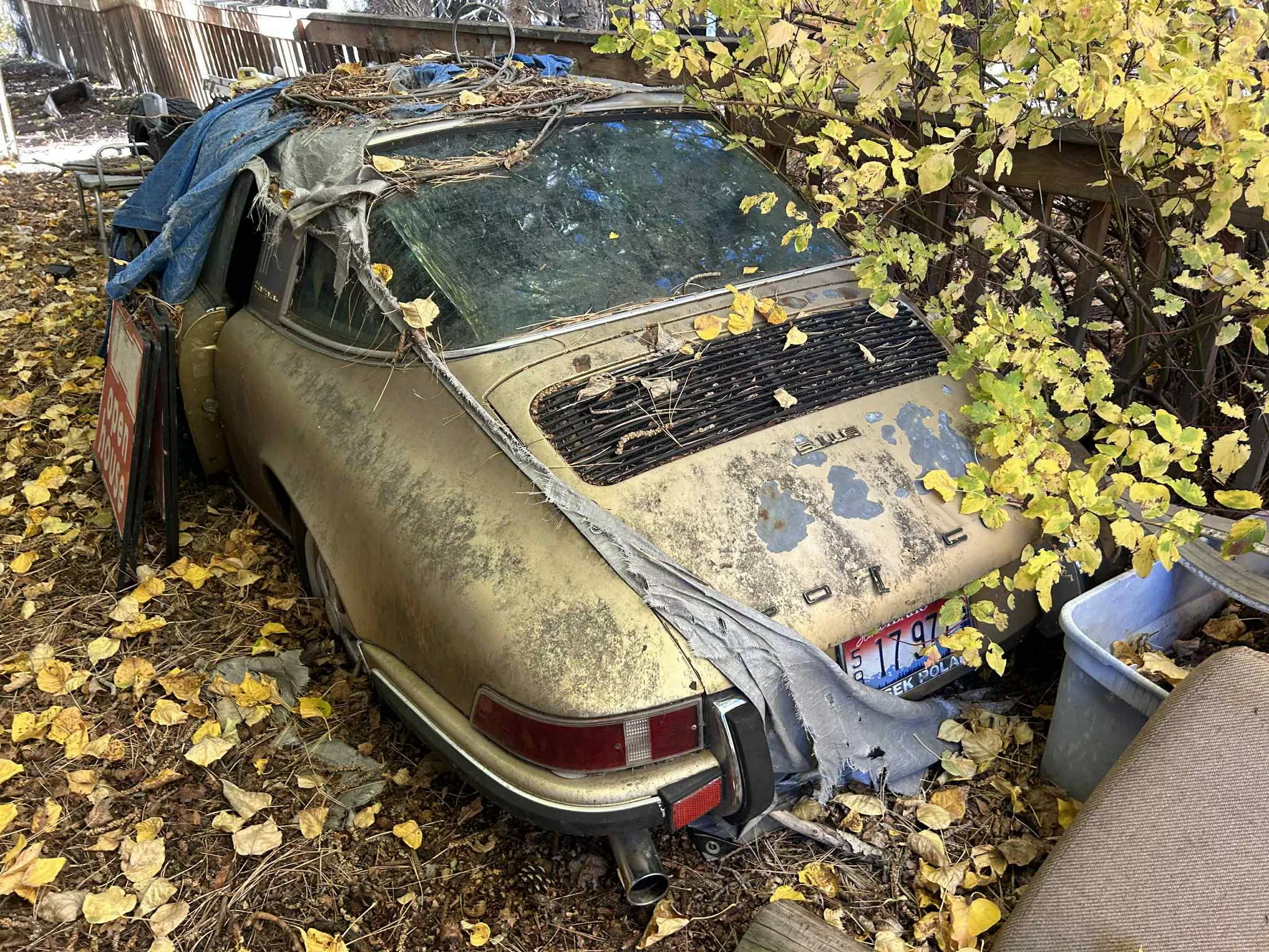 Sous des pommes de pin pendant 31 ans, une Porsche 911 Targa sauvée in ...