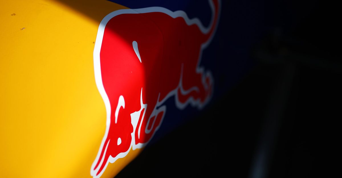 Red Bull torna in Serie A dopo la fine del rapporto col Torino