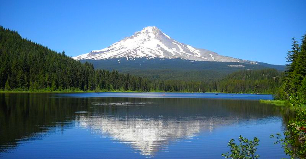Oregon Uncovered: 15 Photographer-Favorite Places That Show the State ...