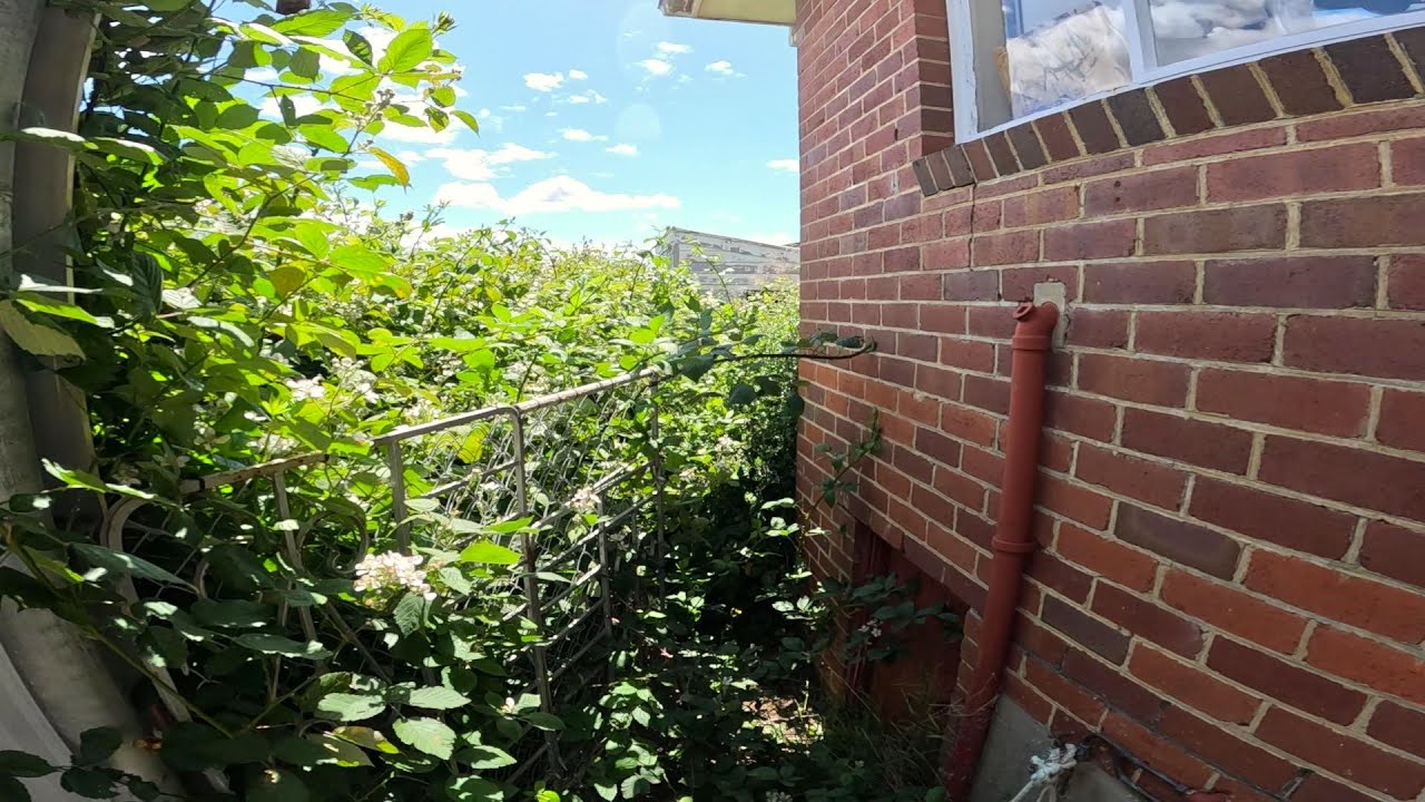 Repairing a messy garden path