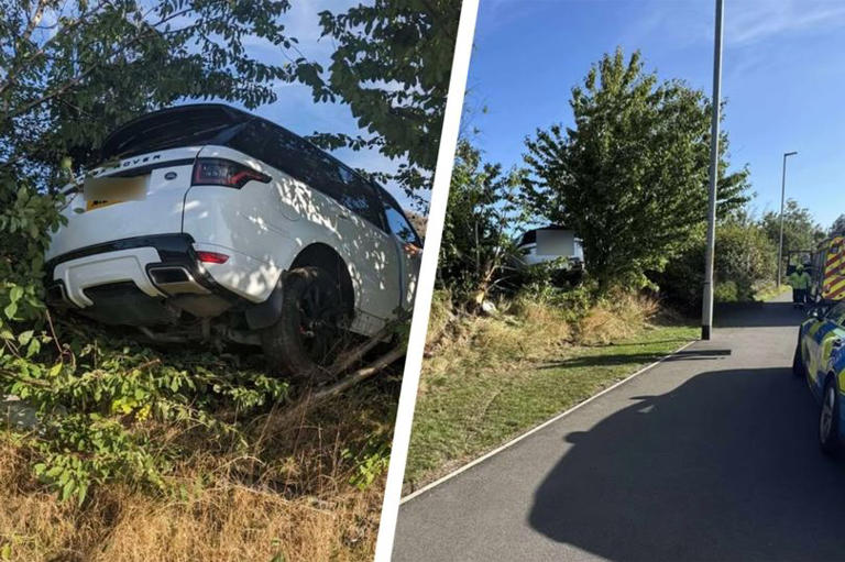 Woman three times over drink drive limit after Range Rover crashes into ...