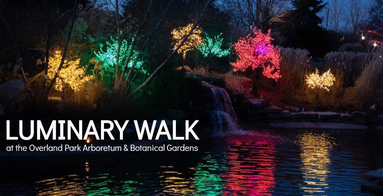 Holiday luminary walk