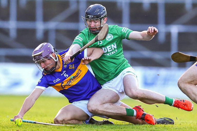 Clough-Ballacolla push Kilkenny giants to brink but Ballyhale Shamrocks ...