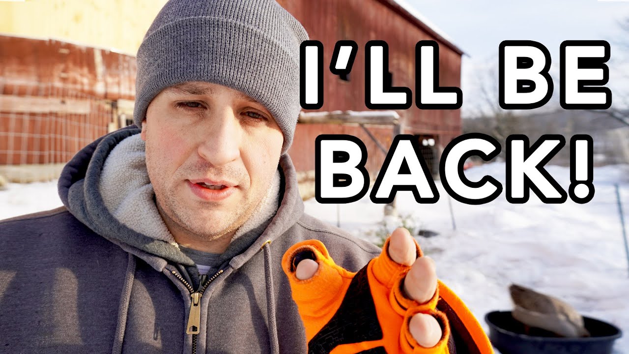 Taking a break from YouTube without any clickbait