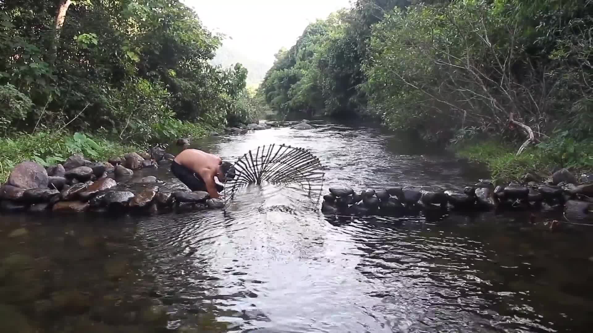 Primitive technology: big fish trap in the forest