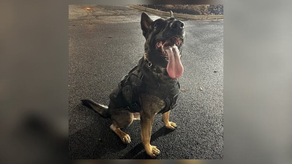 Miamisburg Police Department K9 Bolo gets new protective vest