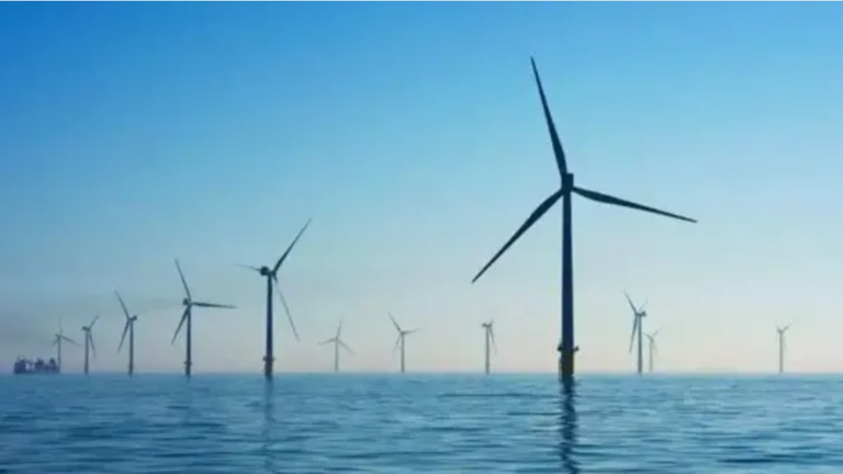 Firm behind offshore wind farm has pulled out - MP
