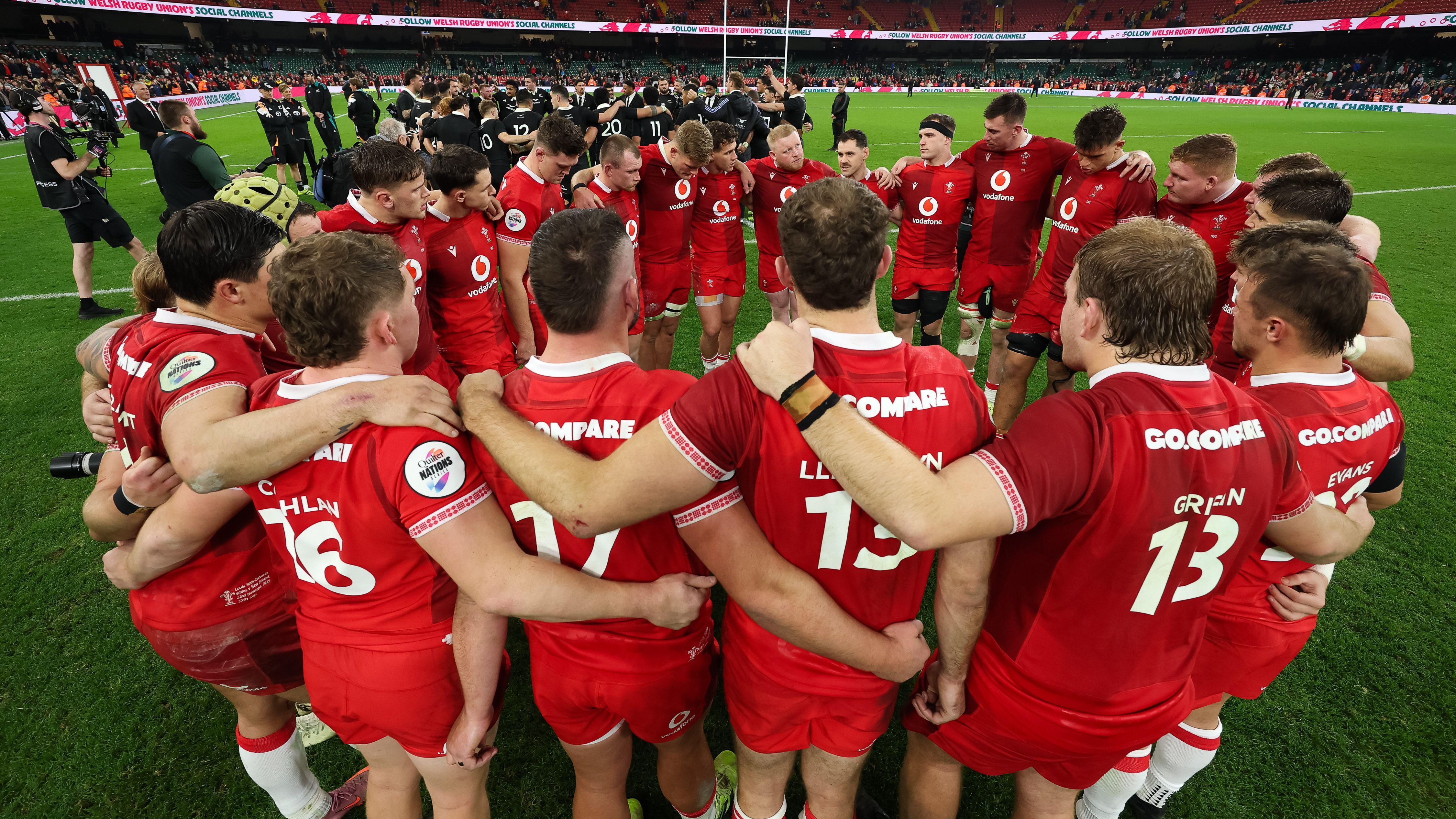 How should Wales be judged after New Zealand loss?