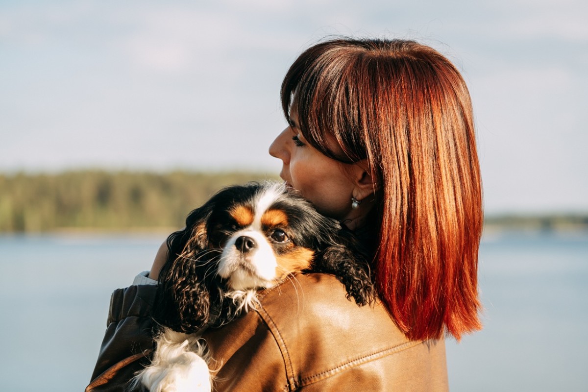 6 Comforting & Calm Dog Breeds That Instantly Reduce Stress