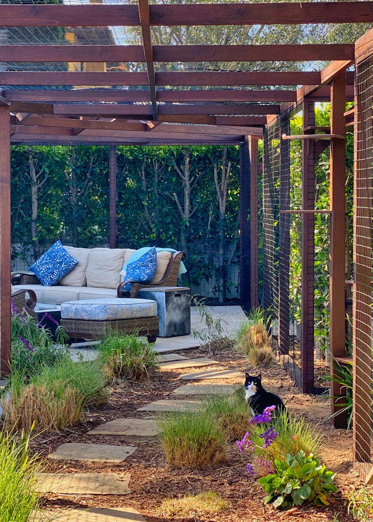 ‘Cat Disneyland’: The animal lovers dropping $125,000 on pet palaces